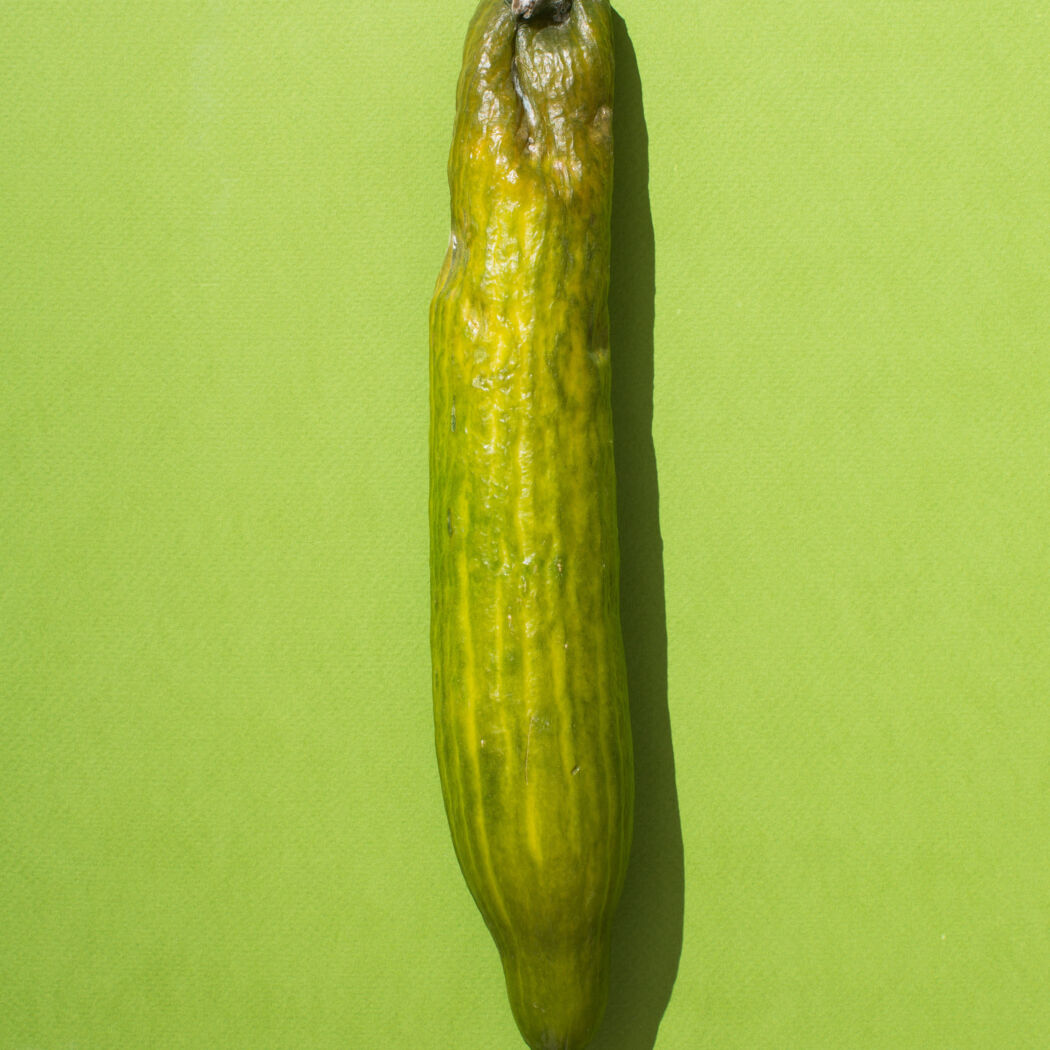 Stangselleri – Matvett