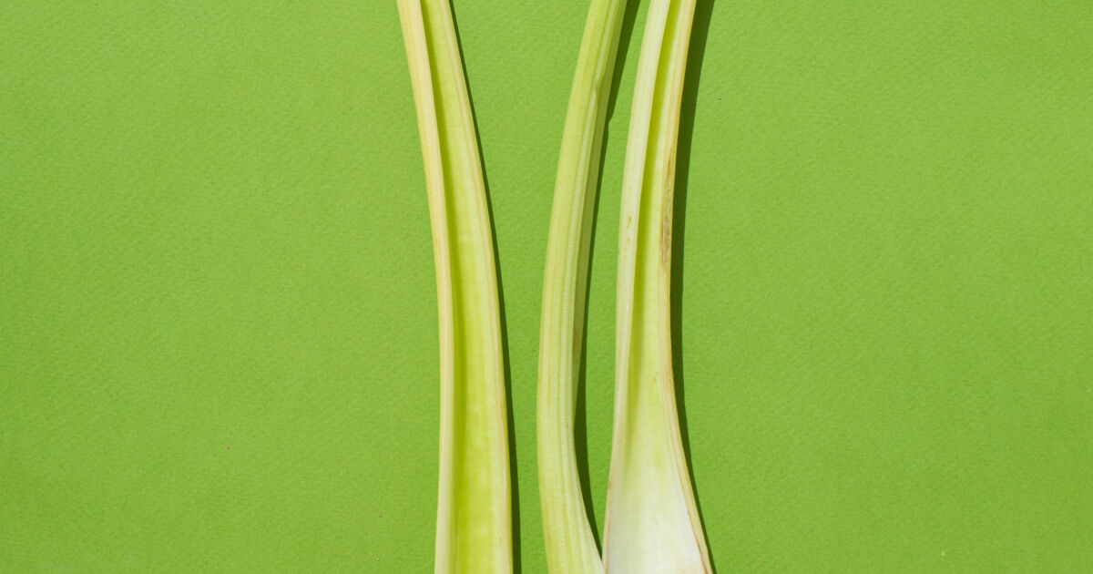 Stangselleri – Matvett